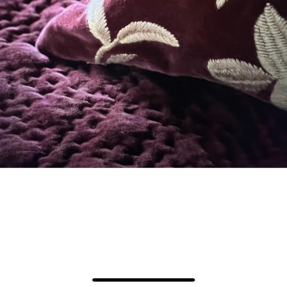 Peruvian Connection | Bedding | Peruvian Connection Velvet Quilt | Poshmark